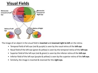 Defects of visual pathway | PPTX
