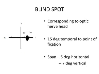 Defects of visual pathway | PPTX