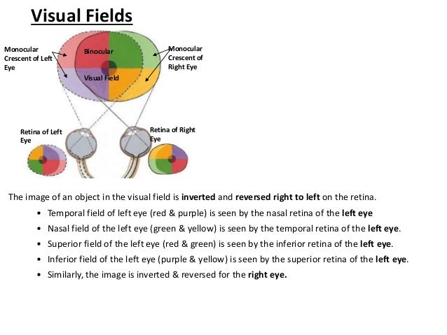Defects of visual pathway