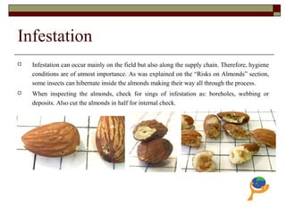 Defects on almonds | PPT