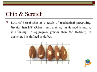 Defects on almonds | PPT