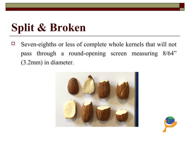 Defects on almonds | PPT | Gardening | Home & Garden