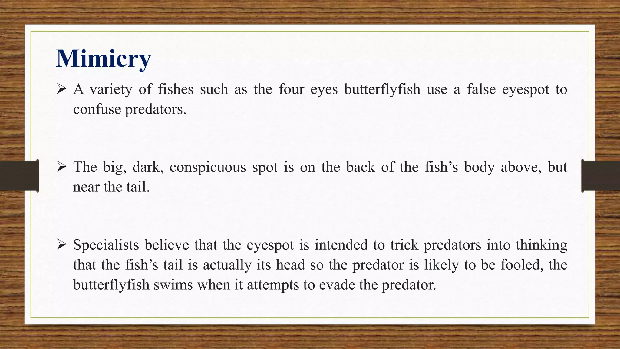 Defence behavior in fishes | PPTX