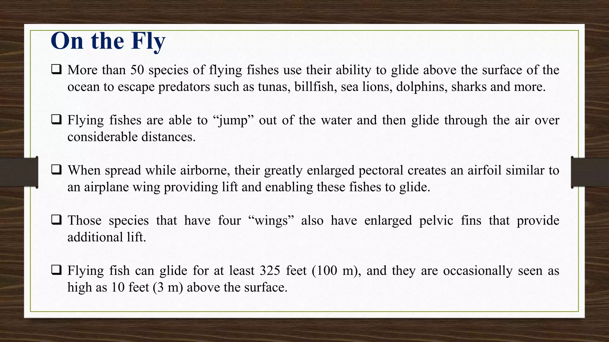 Defence behavior in fishes | PPTX