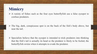 Defence behavior in fishes | PPTX