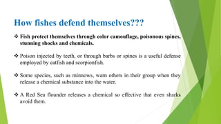 Defence behavior in fishes | PPTX