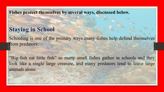 Defence behavior in fishes | PPTX