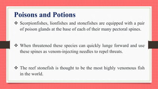 Defence behavior in fishes | PPTX