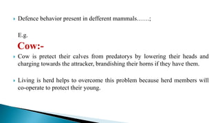 Defence behavior in mammals | PPTX
