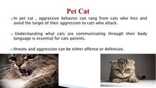Defence behavior in mammals | PPTX