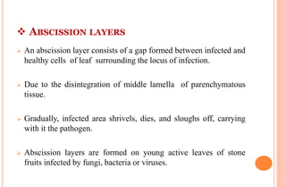 DEFENCE MECHANISM IN PLANTS AGAINST PATHOGENS (STRUCTURAL & BIOCHEMICAL ...