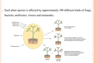 DEFENCE MECHANISM IN PLANTS AGAINST PATHOGENS (STRUCTURAL & BIOCHEMICAL ...