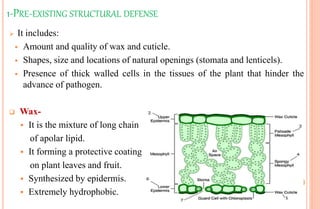 DEFENCE MECHANISM IN PLANTS AGAINST PATHOGENS (STRUCTURAL & BIOCHEMICAL ...