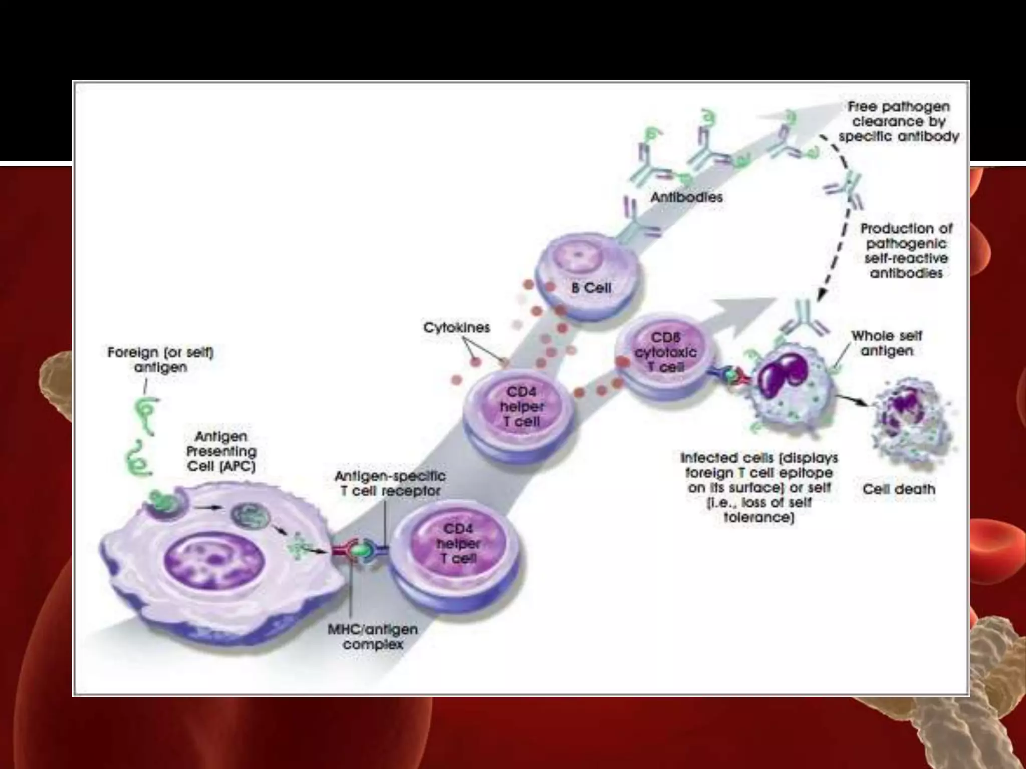 Defence mechanism in finfish and shellfish jassi 2 | PPTX