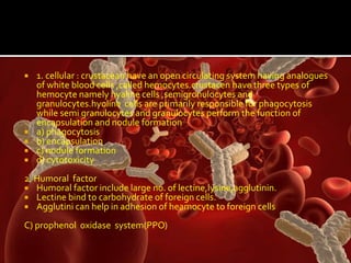 Defence mechanism in finfish and shellfish jassi 2 | PPTX
