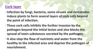 Defence mechanism in plants | PPTX