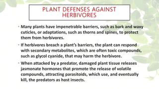 Defence mechanism in plants | PPTX