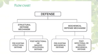 Defence mechanism in plants | PPTX