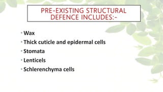 Defence mechanism in plants | PPTX