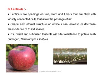 Defence mechanism in plants pdf | PDF