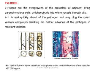 Defence mechanism in plants pdf | PDF