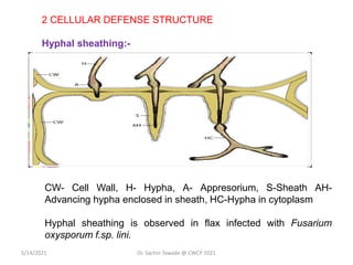 Defence mechanism in plants pdf | PDF