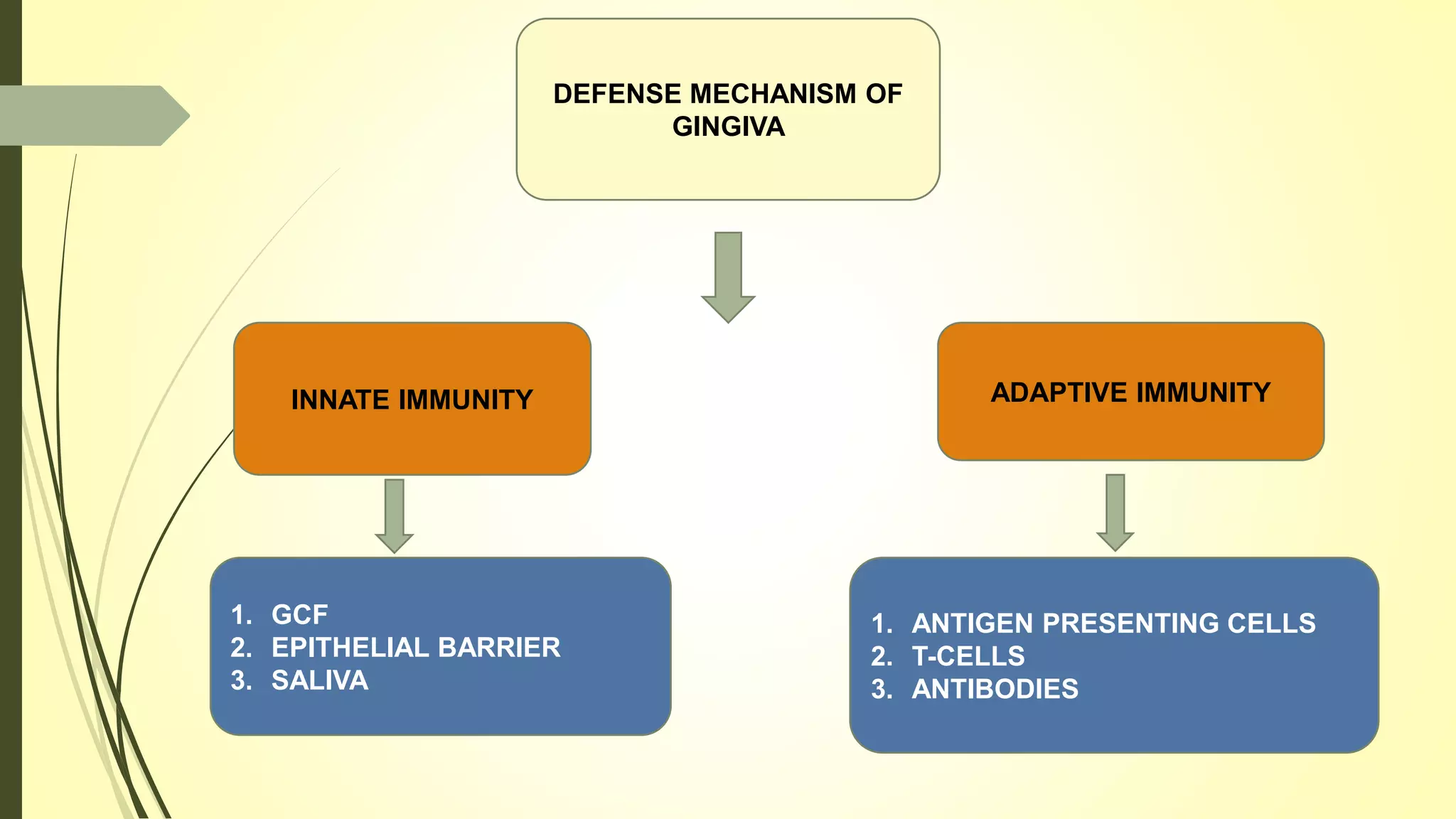 Defence mechanism of gingiva | PPTX