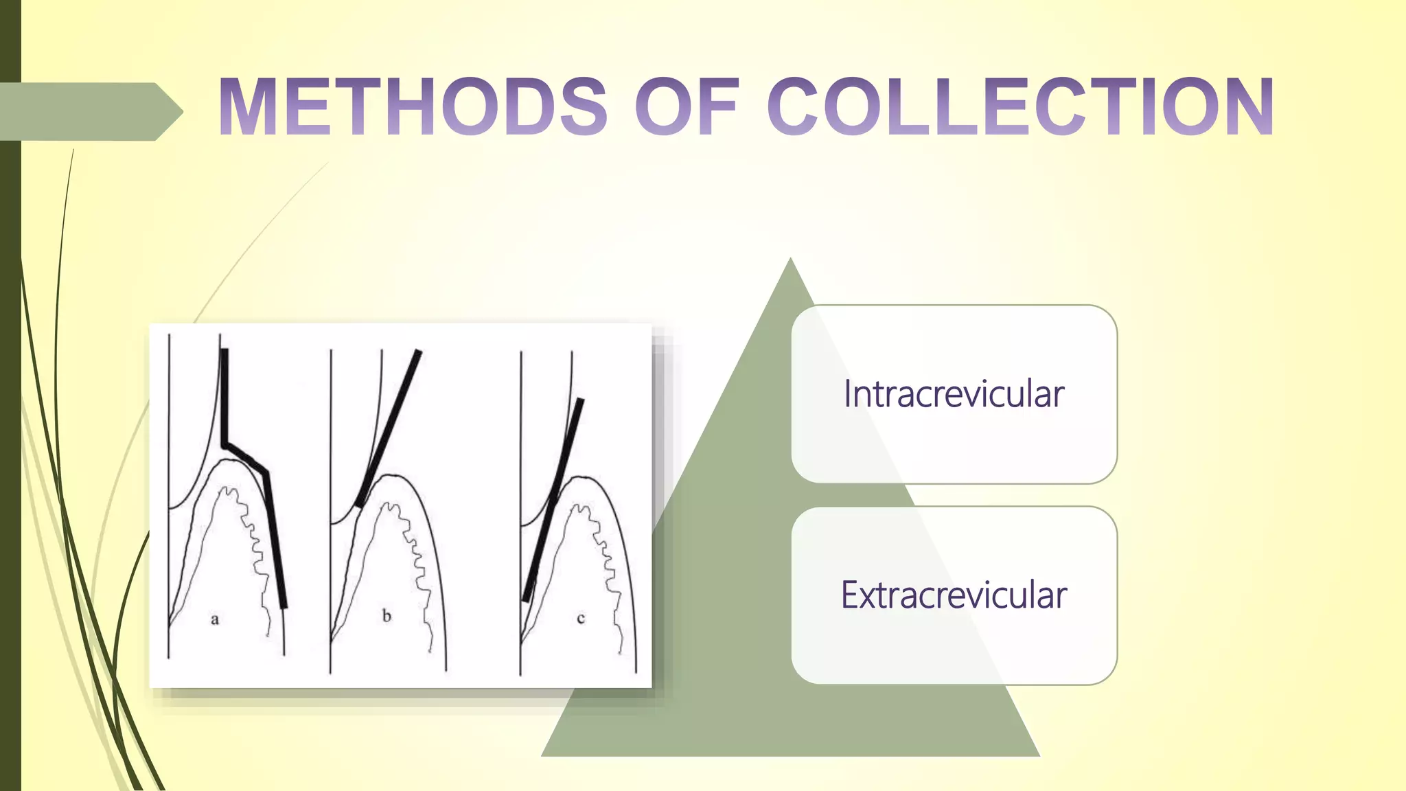 Defence mechanism of gingiva | PPTX