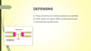 Defence mechanism of gingiva | PPTX