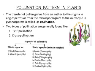 Defense Mechanism & Pollination pattern in plants ppt | PPTX