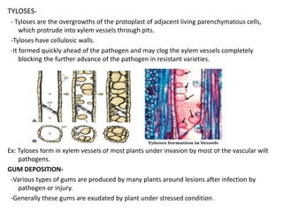 Defense Mechanism & Pollination pattern in plants ppt | PPTX ...