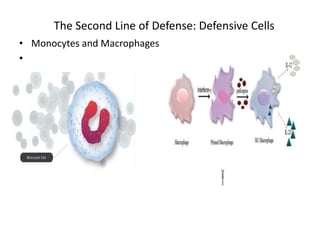 Defence mechanisms. bph | PPT