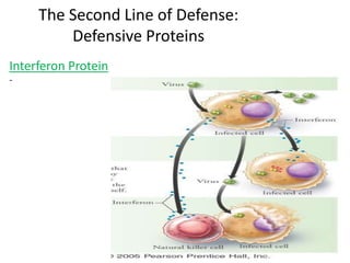 Defence mechanisms. bph | PPT