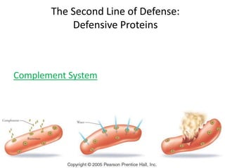 Defence mechanisms. bph | PPT