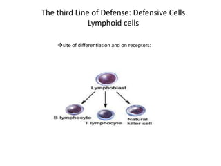 Defence mechanisms. bph | PPT