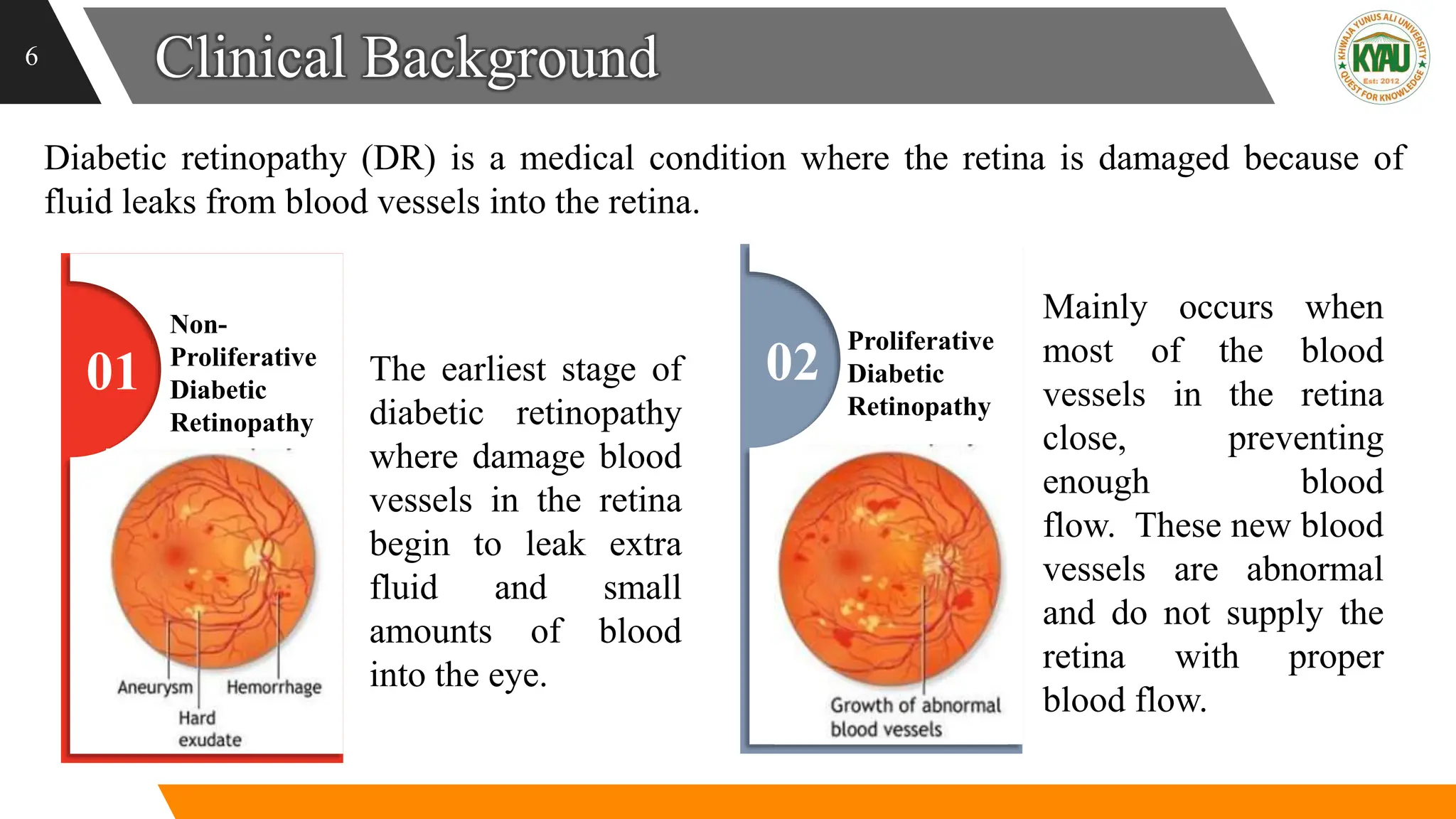 Classification of Diabetic Retinopathy.pptx
