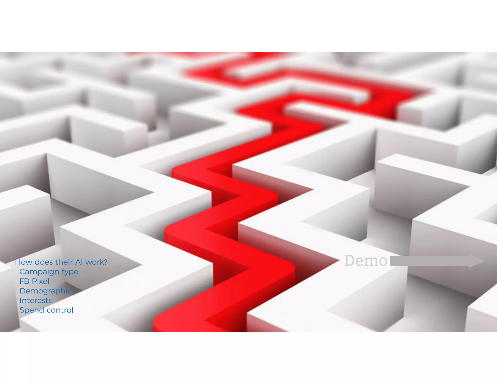 Defending your ad budget from Facebook and LinkedIn AIs | PDF