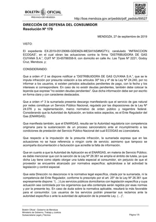 Defensa Del Consumidor sancionó a Ecogas | PDF