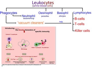 Defense Against Infectious Disease (AHL) | PDF
