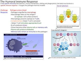 Defense Against Infectious Disease (AHL) | PPT