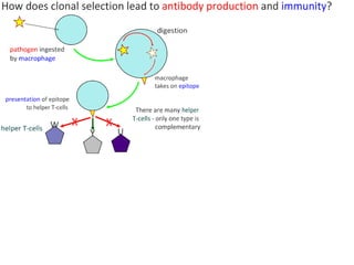 Defense Against Infectious Disease (AHL) | PDF