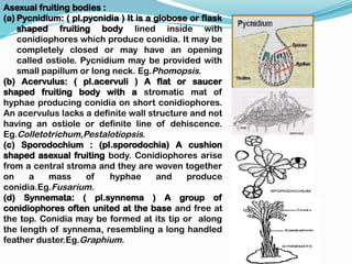 Defense mechanism.pptx.................... | PPT