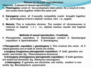 Defense mechanism.pptx.................... | PPT
