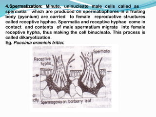 Defense mechanism.pptx.................... | PPT