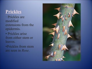 Defense mechanism in plants | PPT