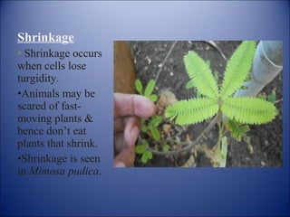 Defense mechanism in plants | PPT