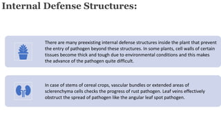 Defense Mechanism in Plants.pptx