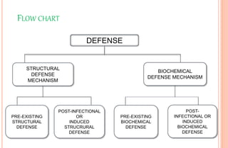DefenseMechanisminPlants.pptx