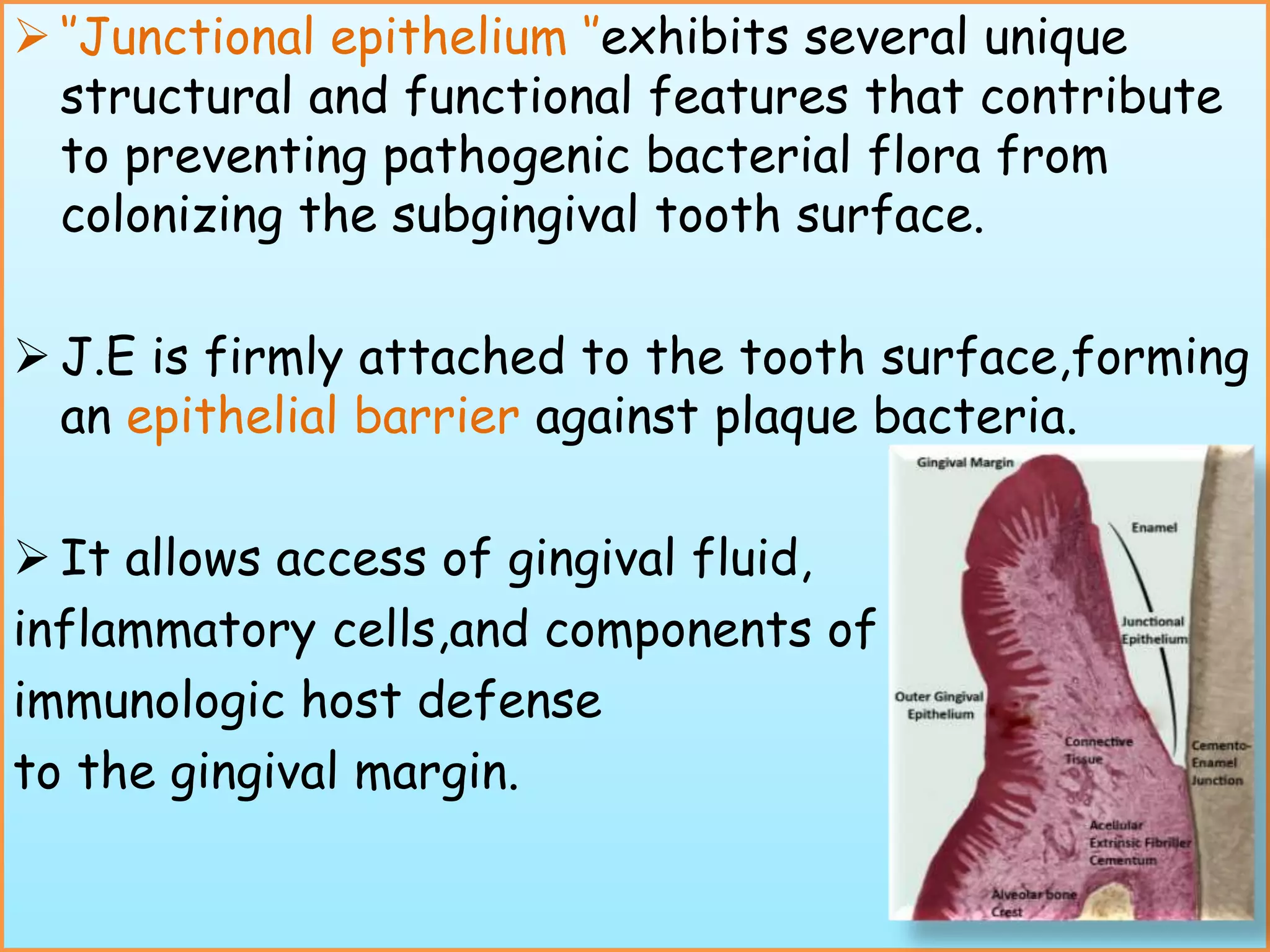"DEFENSE MECHANISM OF PERIODONTIUM" . | PPTX