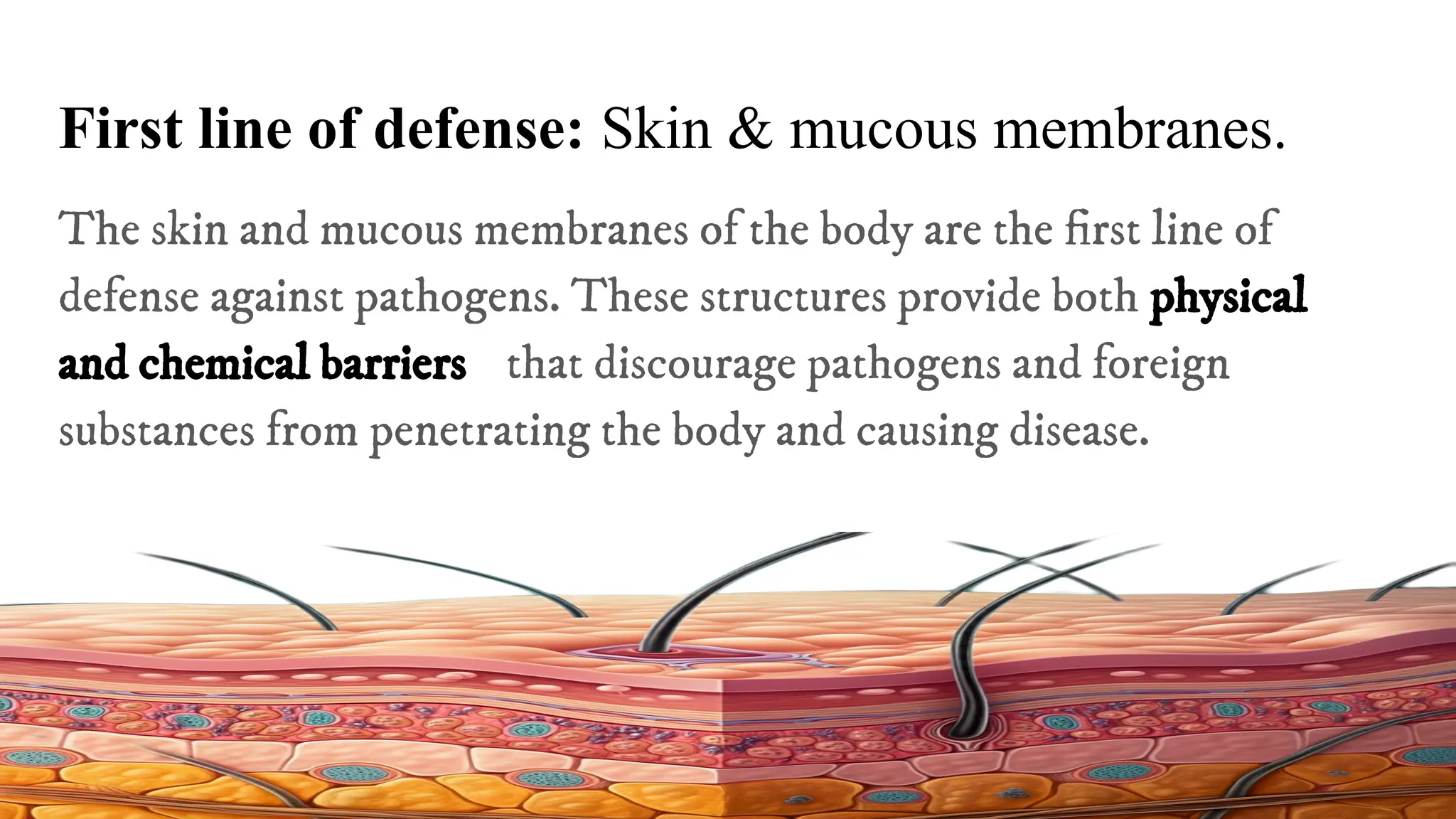 Defense mechanism of the body and the Lympathic system | PDF